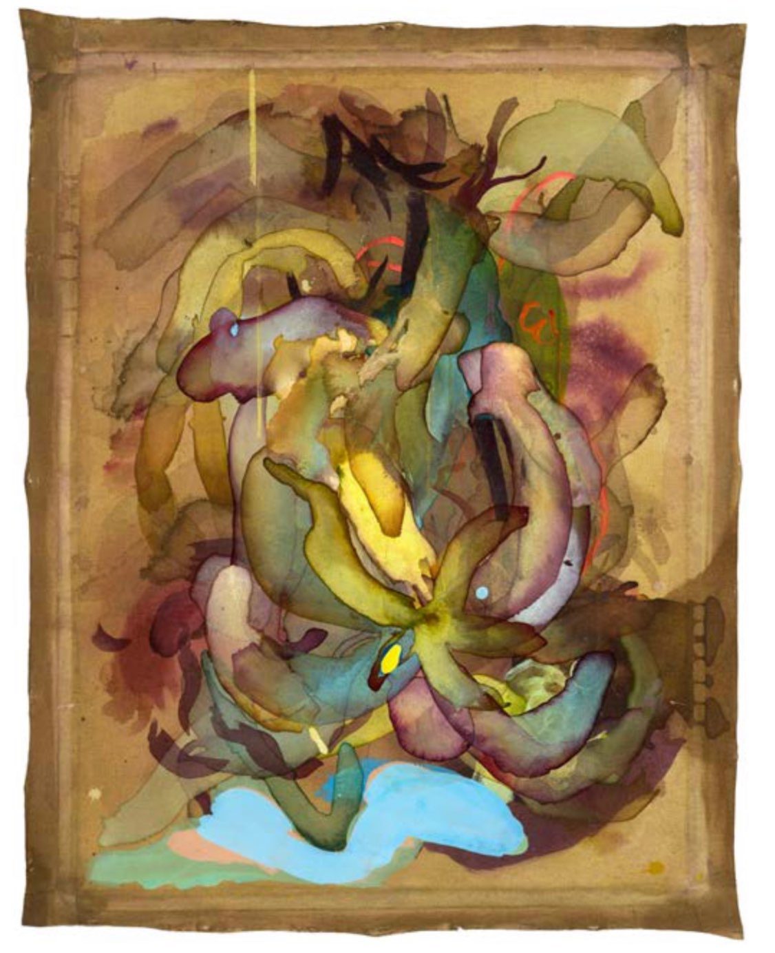 ORCHID – Anija Seedler